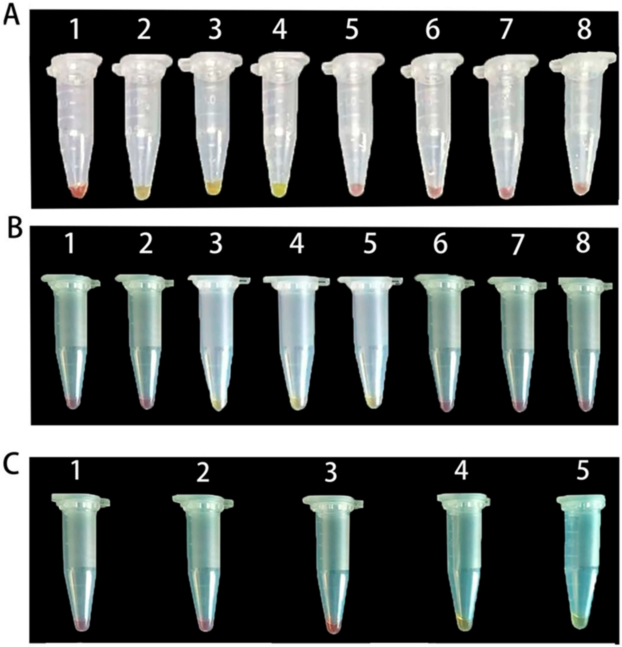 Development and Comparison of Visual Colorimetric Endpoint LAMP and ...