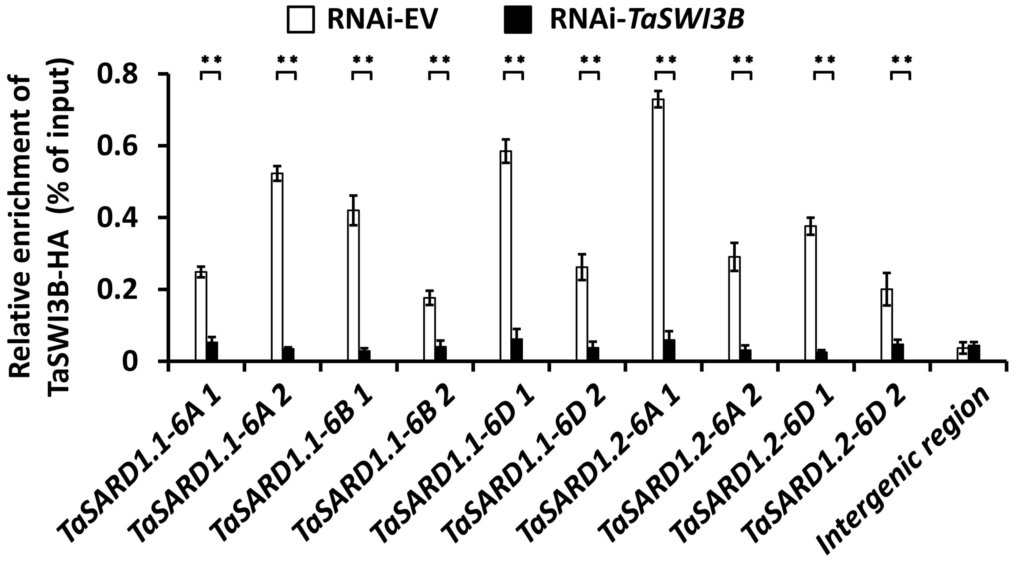 Wheat SWI3B Subunit of SWI/SNF Chromatin Remodeling Complex Governs ...