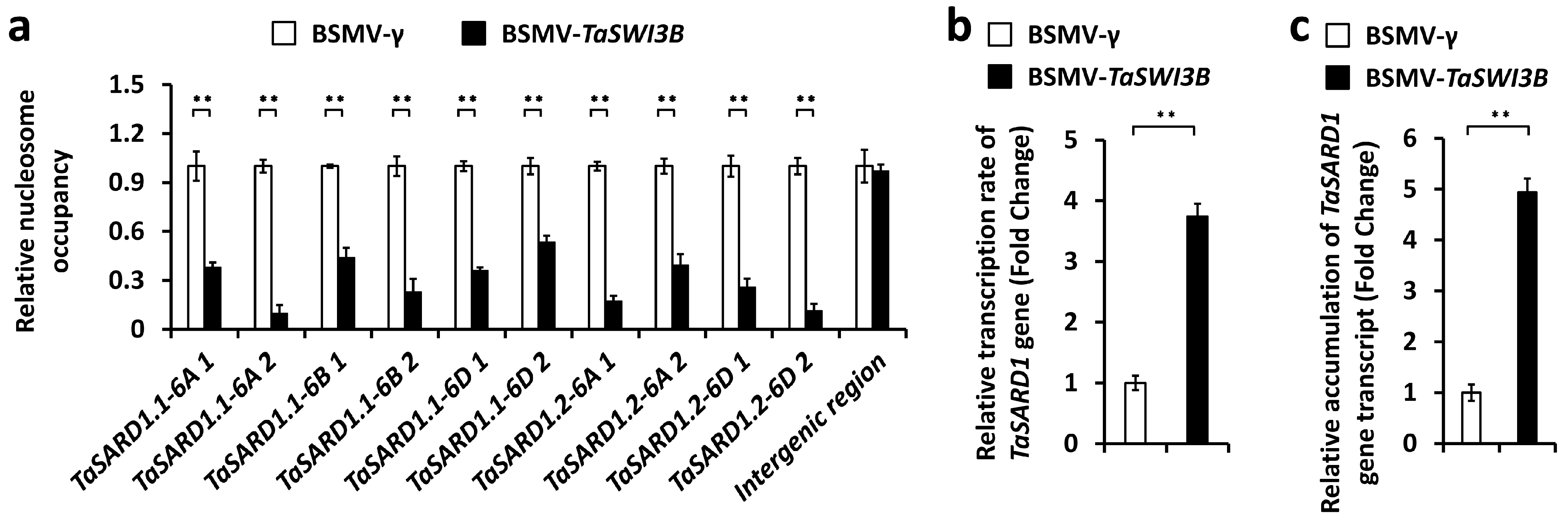 Wheat SWI3B Subunit of SWI/SNF Chromatin Remodeling Complex Governs ...