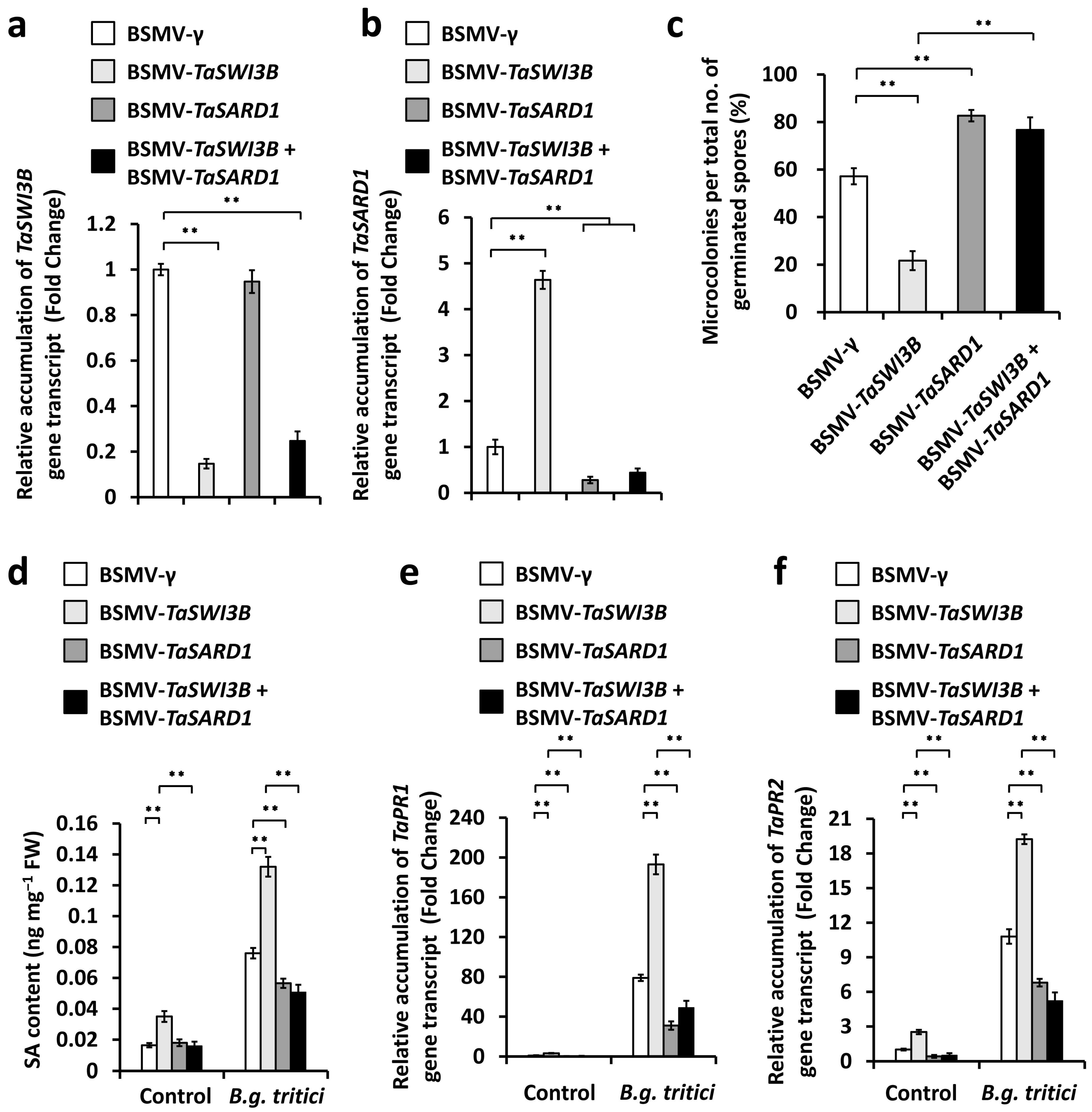 Wheat SWI3B Subunit of SWI/SNF Chromatin Remodeling Complex Governs ...