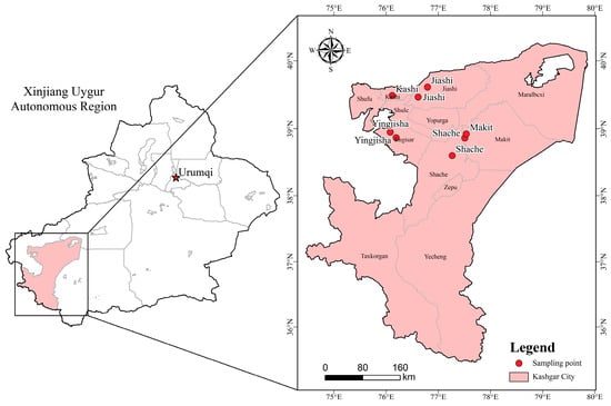 Identification and Multigene Phylogenetic Analysis Reveal Alternaria as ...