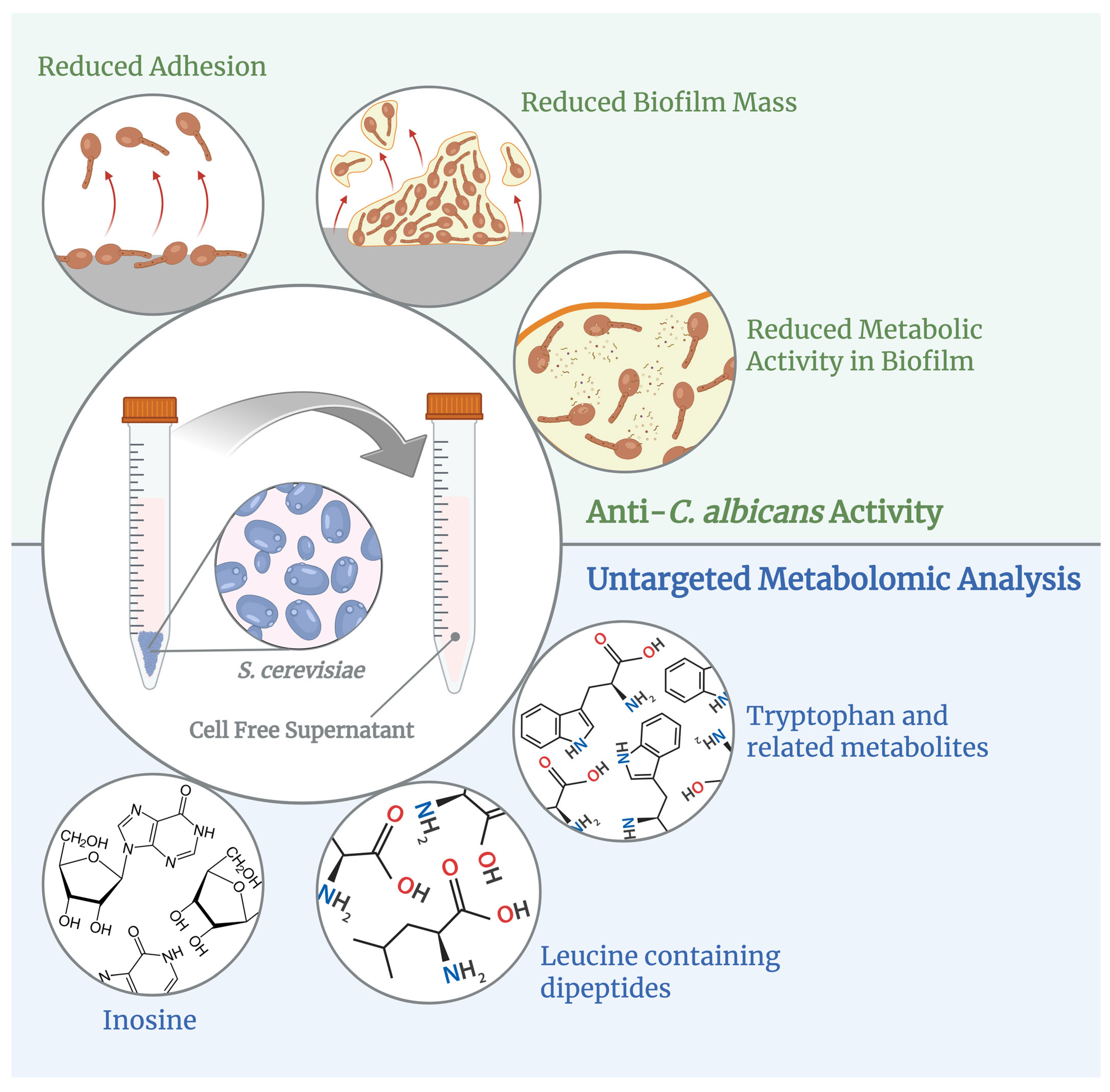 Untargeted Metabolomic Analysis of Cell-Free Supernatants (CFSs) from ...