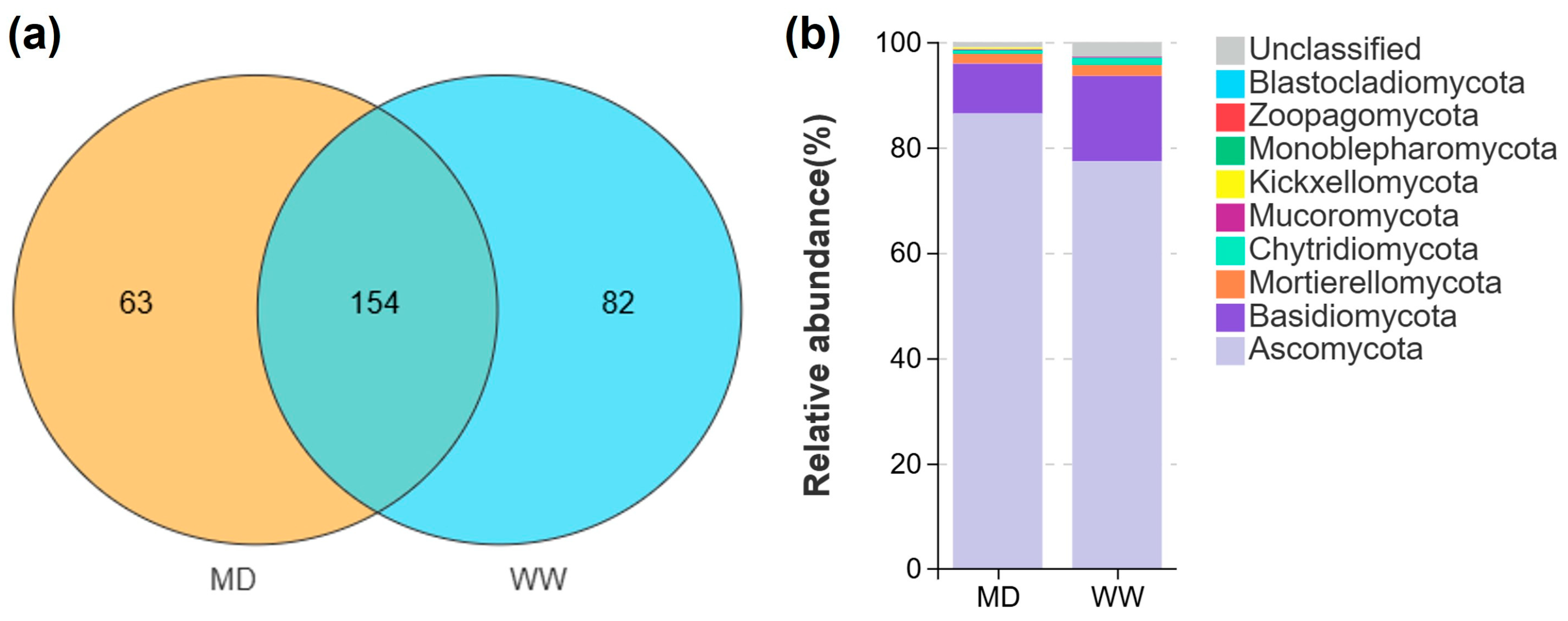 Ascomycetous Endophytic Fungi Drive Root Fungal Community Assembly in ...