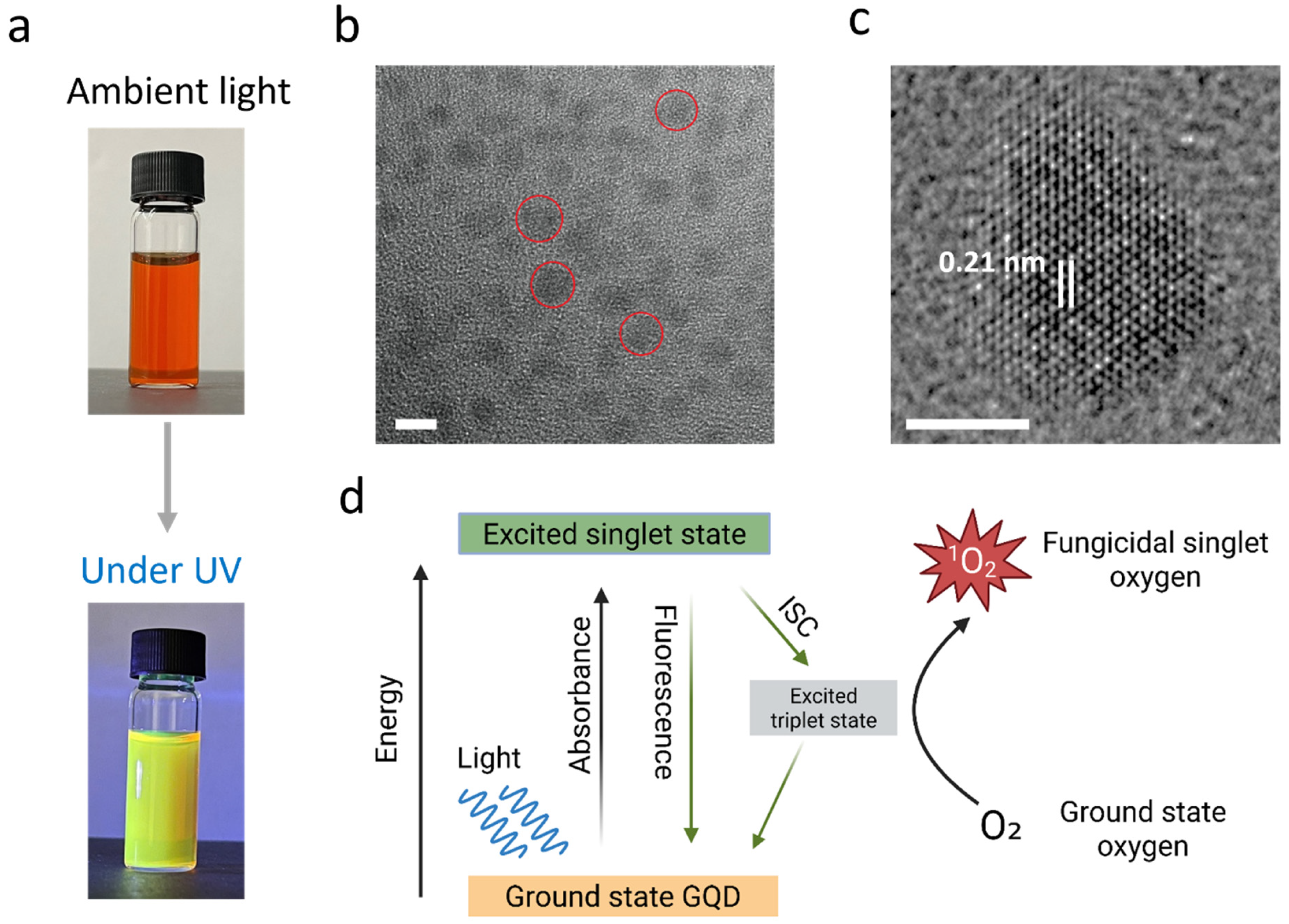 A Carboxyl-Functionalized Graphene Quantum Dot Coating for Catheters ...
