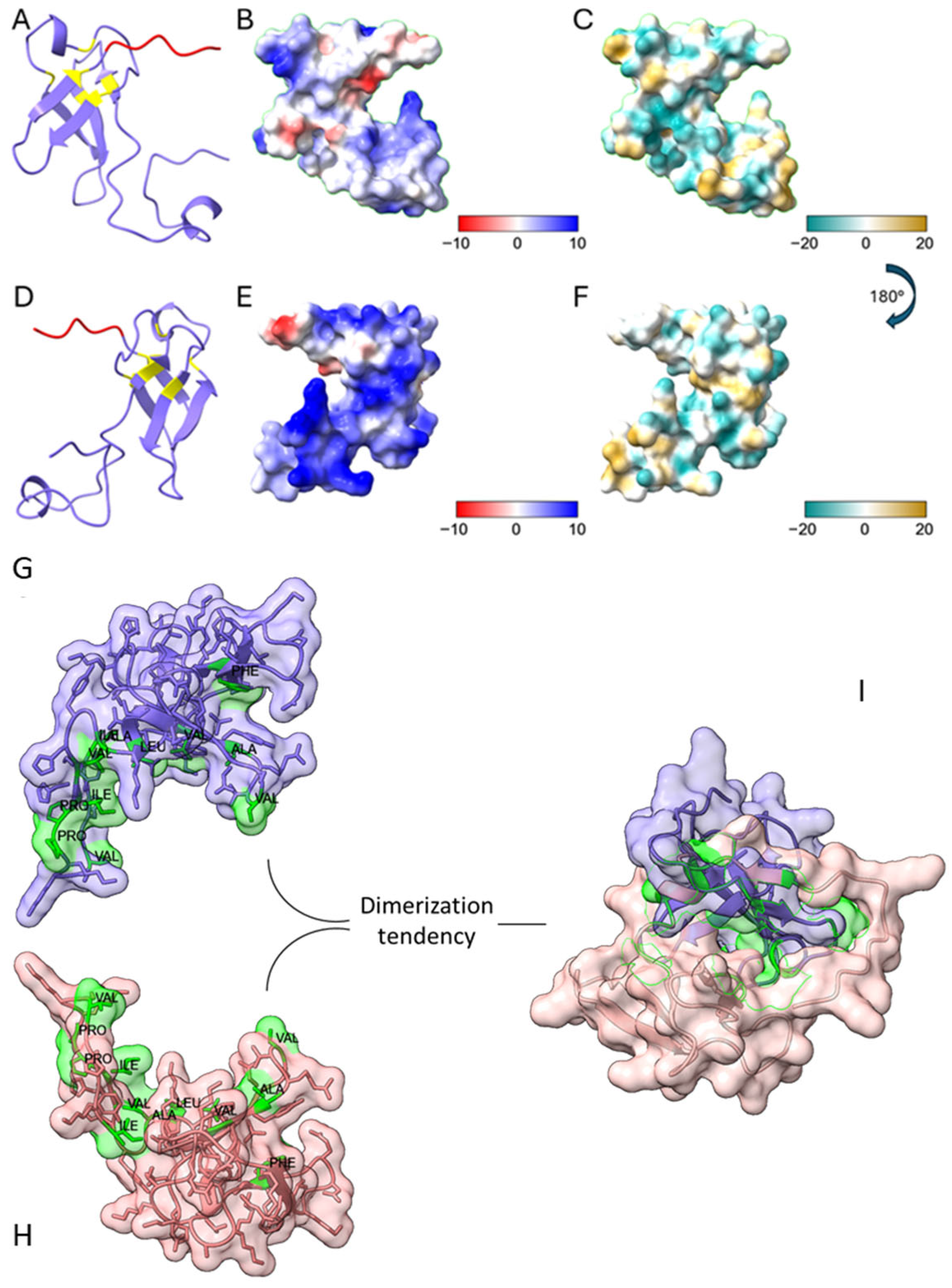 Functional Characterization of BbroAFP Reveals Its Pleiotropic ...