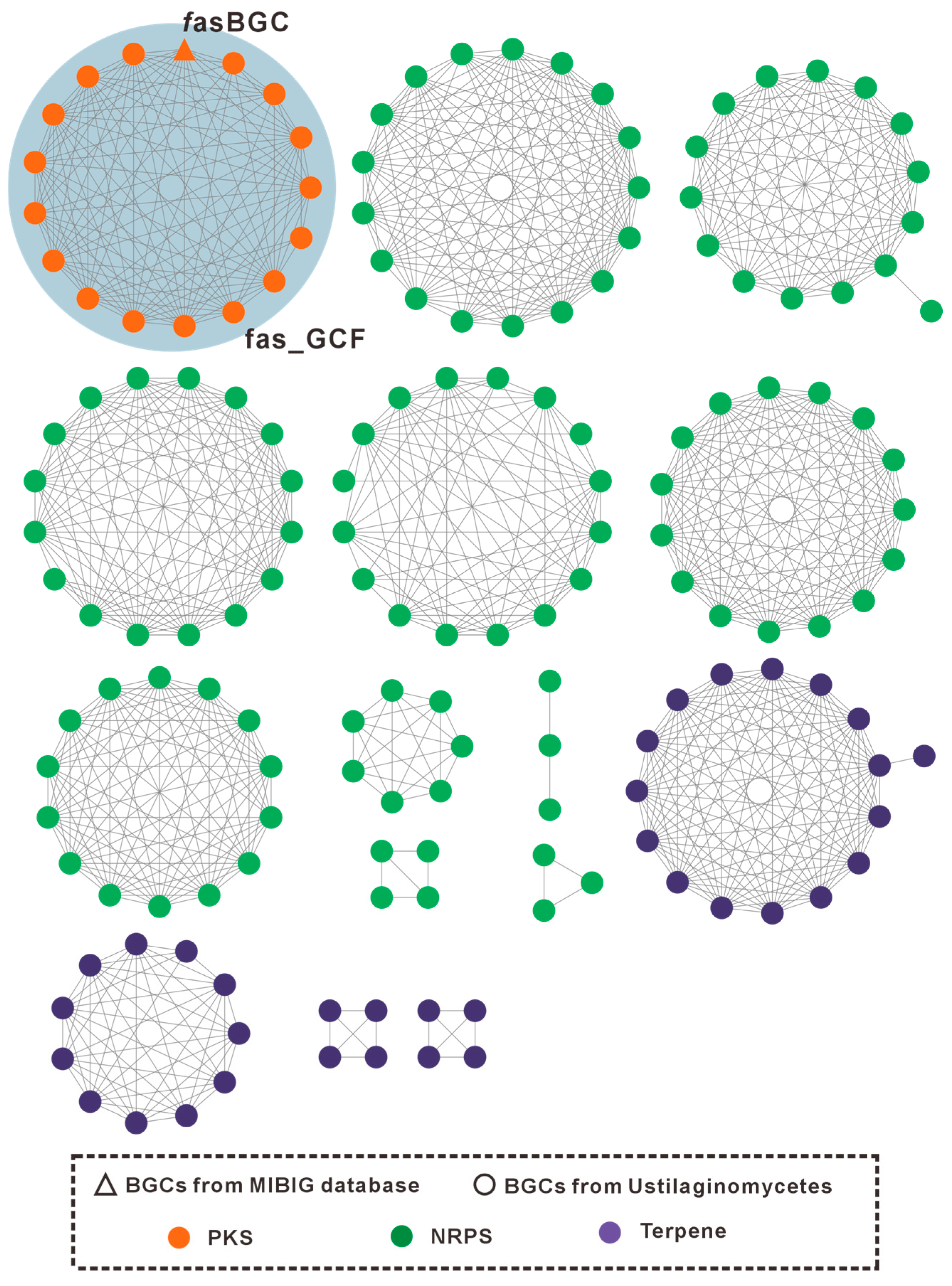 Biosynthetic Gene Cluster Diversity and Species-Specific Metabolic ...