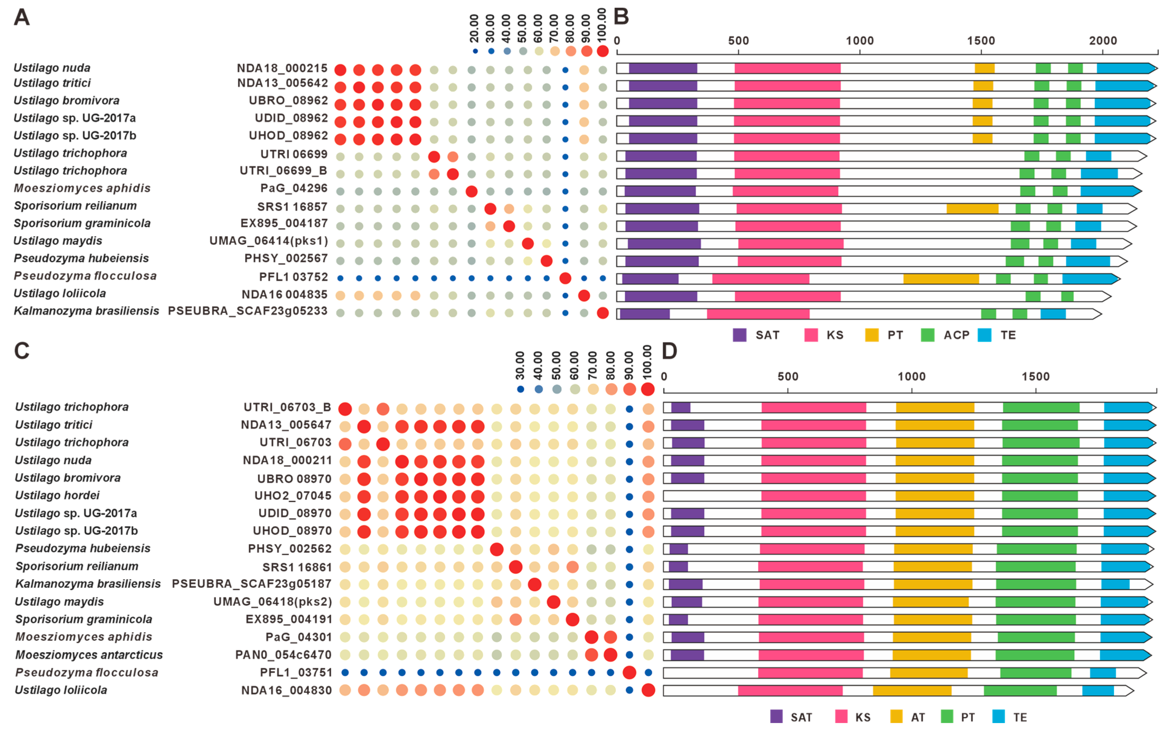 Biosynthetic Gene Cluster Diversity and Species-Specific Metabolic ...