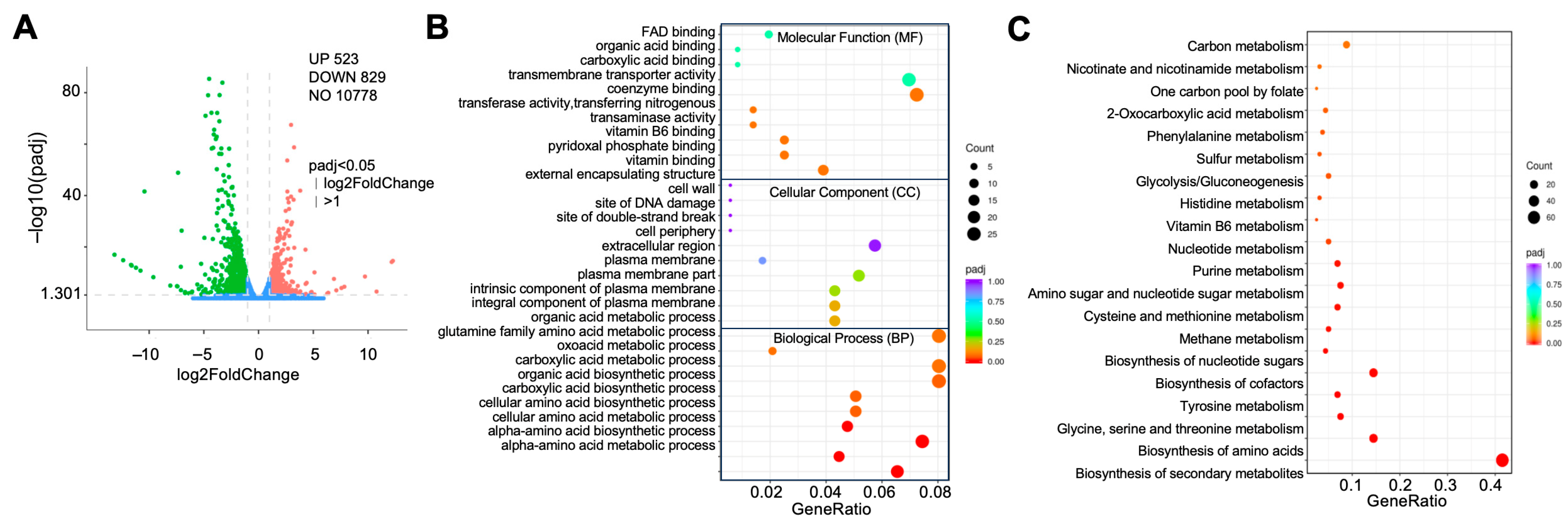 Histone Demethylase MoRph1 Regulates Fungal Development, Pathogenicity ...
