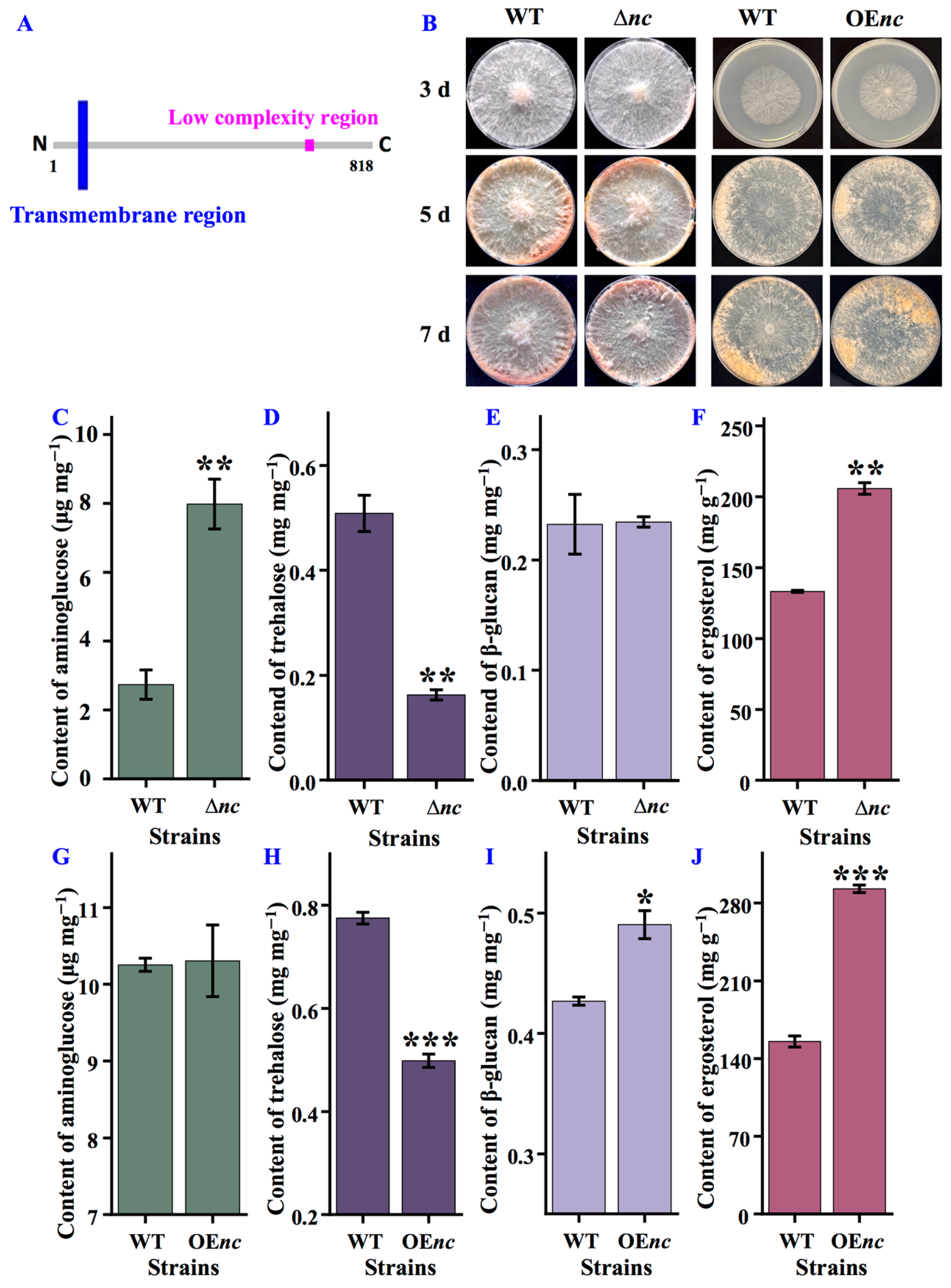 Deciphering Neutral Ceramidase-Dependent Mechanism of Response to ...
