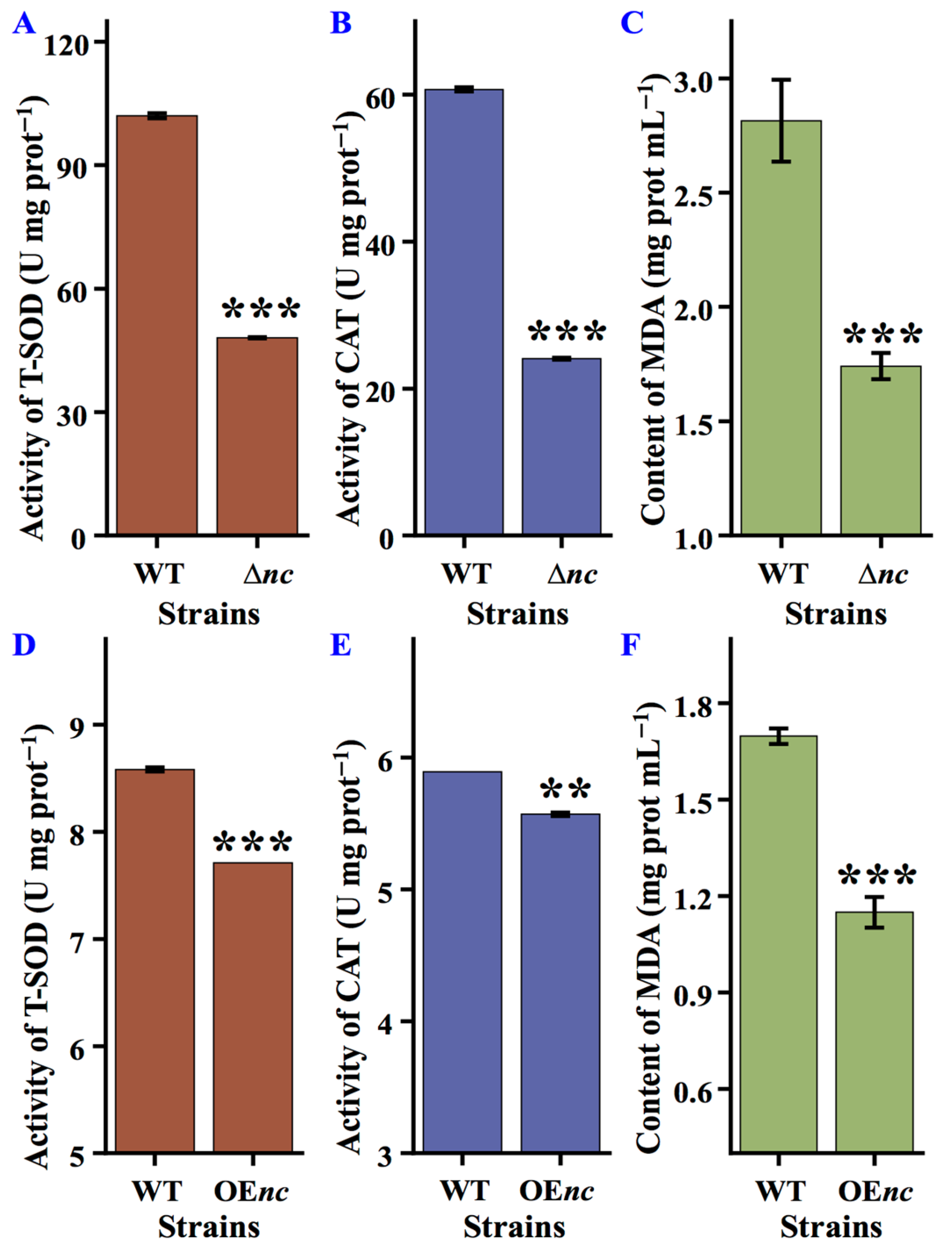 Deciphering Neutral Ceramidase-Dependent Mechanism of Response to ...