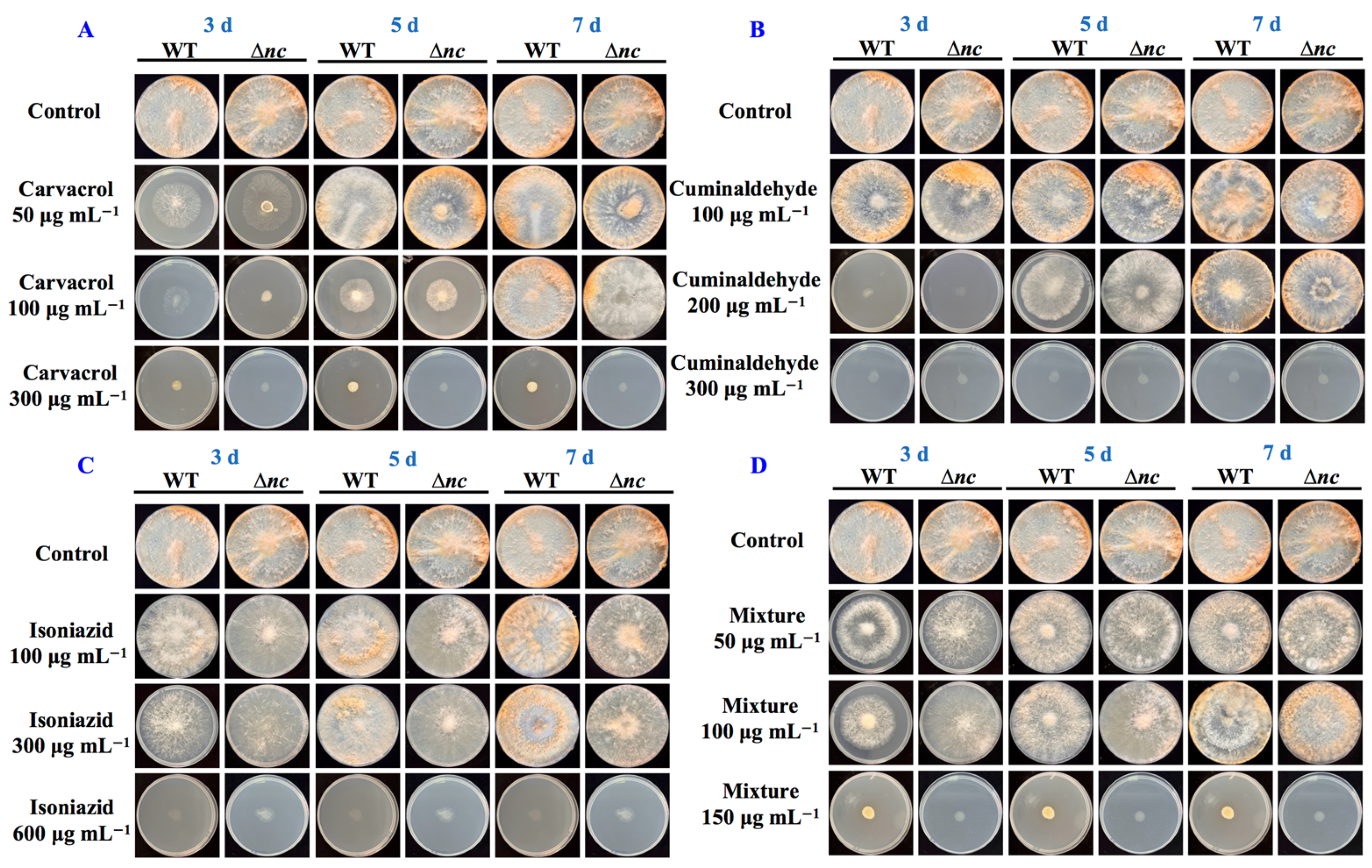 Deciphering Neutral Ceramidase-Dependent Mechanism of Response to ...
