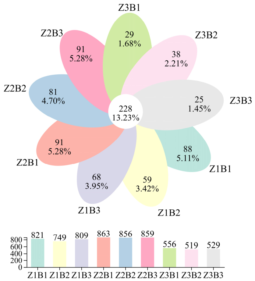Effects of Legume–Grass Mixture Composition and Seeding Ratio on Plant ...