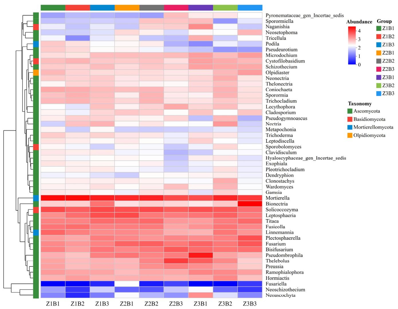 Effects of Legume–Grass Mixture Composition and Seeding Ratio on Plant ...