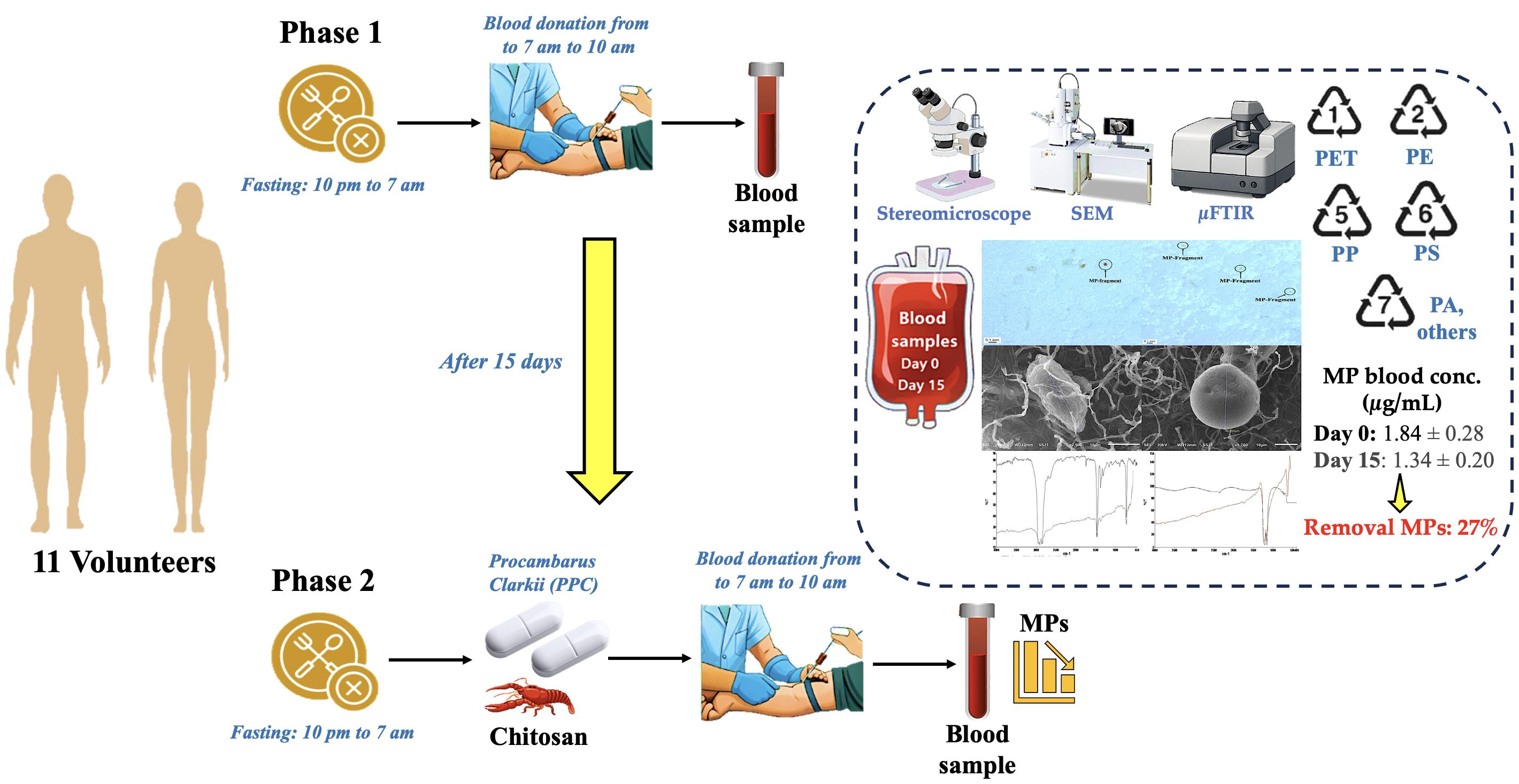 Reduction in Circulating Microplastics in Humans Following ...