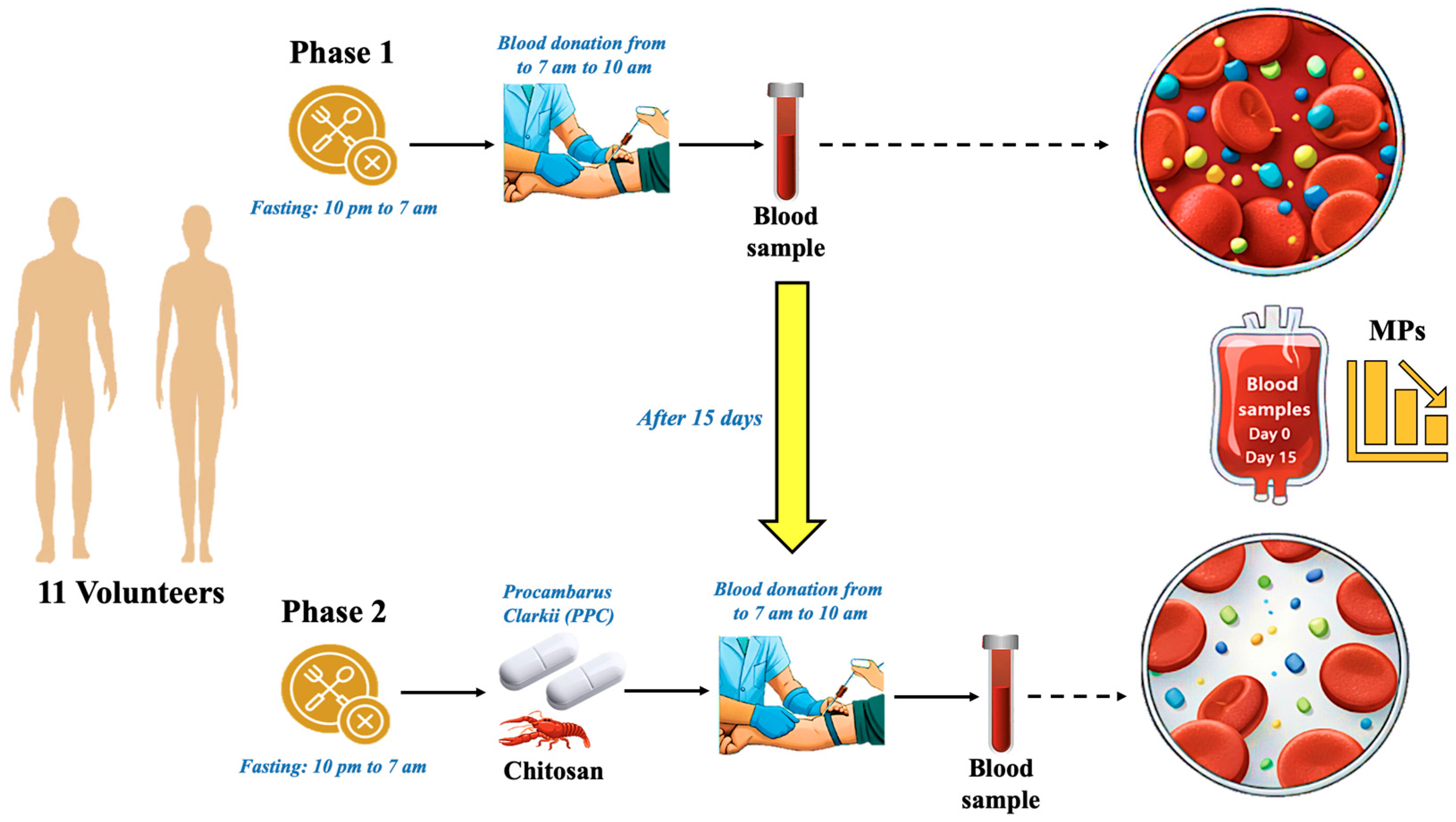 Reduction in Circulating Microplastics in Humans Following ...