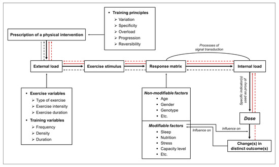 A Discussion on Different Approaches for Prescribing Physical ...