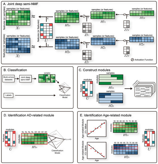 JDSNMF: Joint Deep Semi-Non-Negative Matrix Factorization for Learning Integrative ...