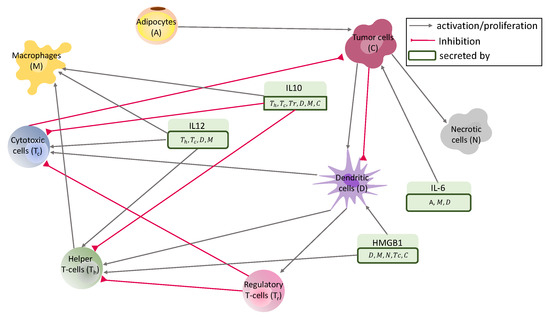 A PDE Model of Breast Tumor Progression in MMTV-PyMT Mice