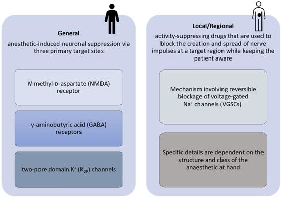 Personalized Medicine for Classical Anesthesia Drugs and Cancer Progression