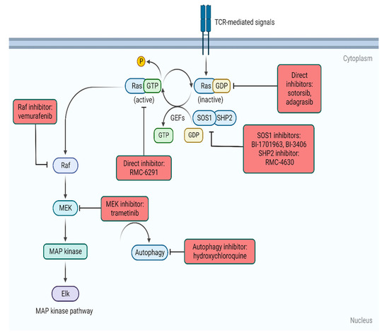 Targeting KRAS in Pancreatic Cancer