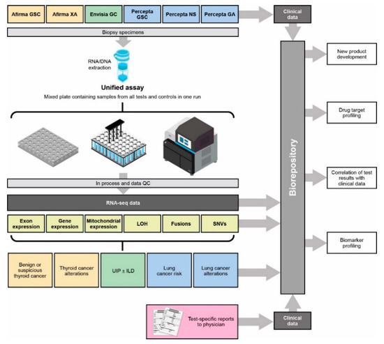 JPM | Free Full-Text | Maximizing Small Biopsy Patient Samples: Unified ...
