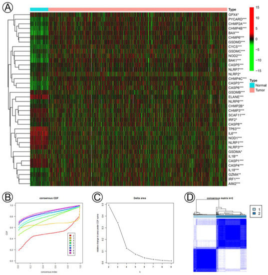 JPM | Free Full-Text | A Novel Prognostic Prediction Model Based on ...