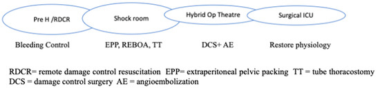 “Stabilize the Unstable”: Treatment Pathophysiology in Bleeding Trauma ...