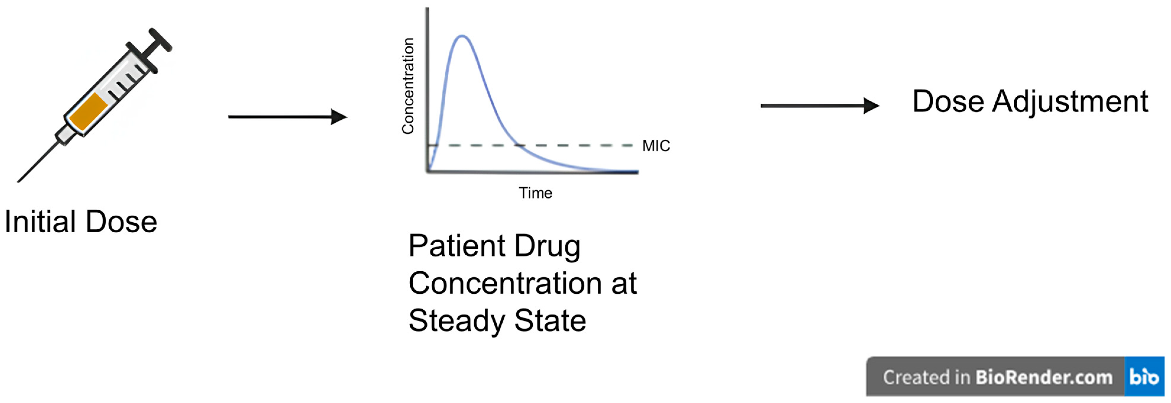 Model-Informed Precision Dosing: Conceptual Framework for Therapeutic ...