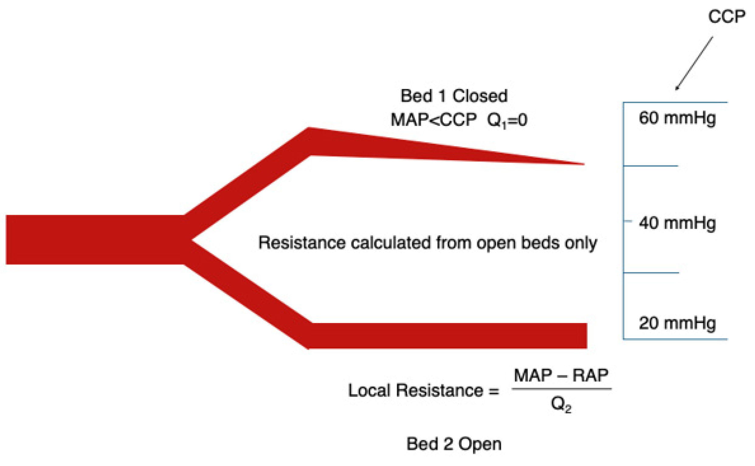 Arteriolar Collapse and Haemodynamic Incoherence in Shock: Rethinking ...