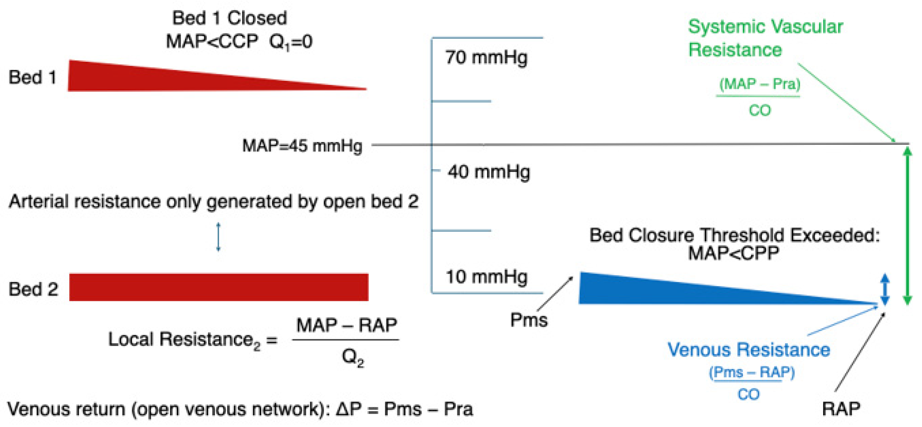 Arteriolar Collapse and Haemodynamic Incoherence in Shock: Rethinking ...