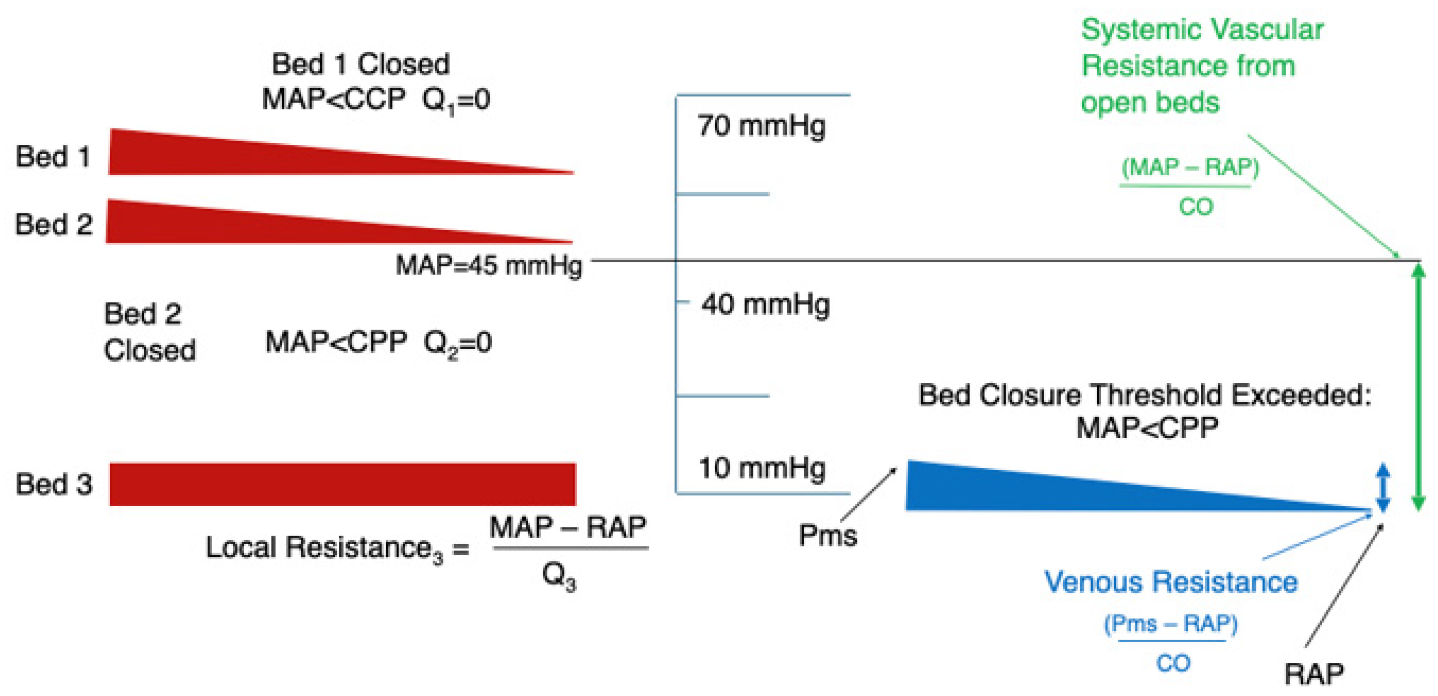 Arteriolar Collapse and Haemodynamic Incoherence in Shock: Rethinking ...