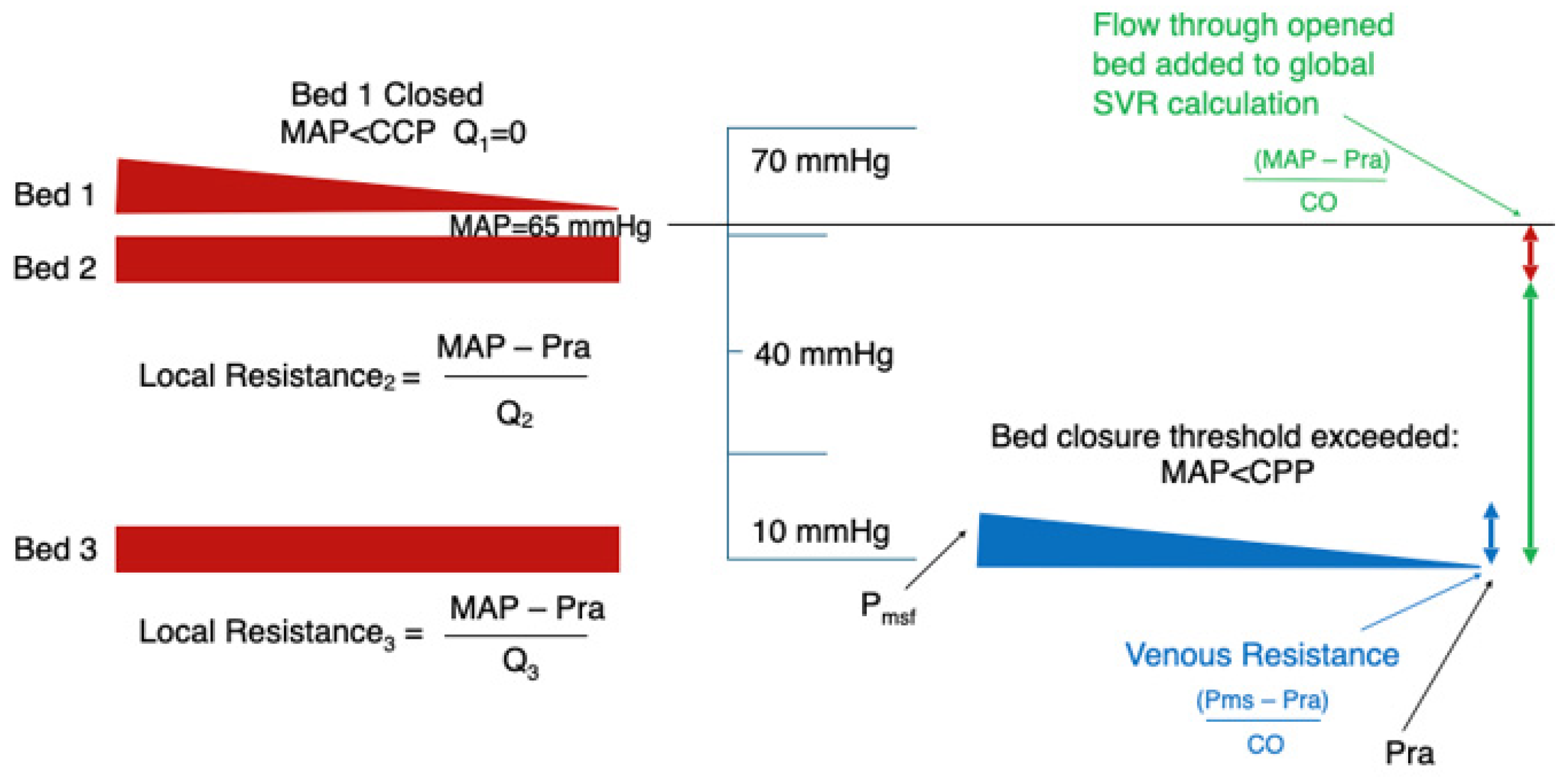 Arteriolar Collapse and Haemodynamic Incoherence in Shock: Rethinking ...
