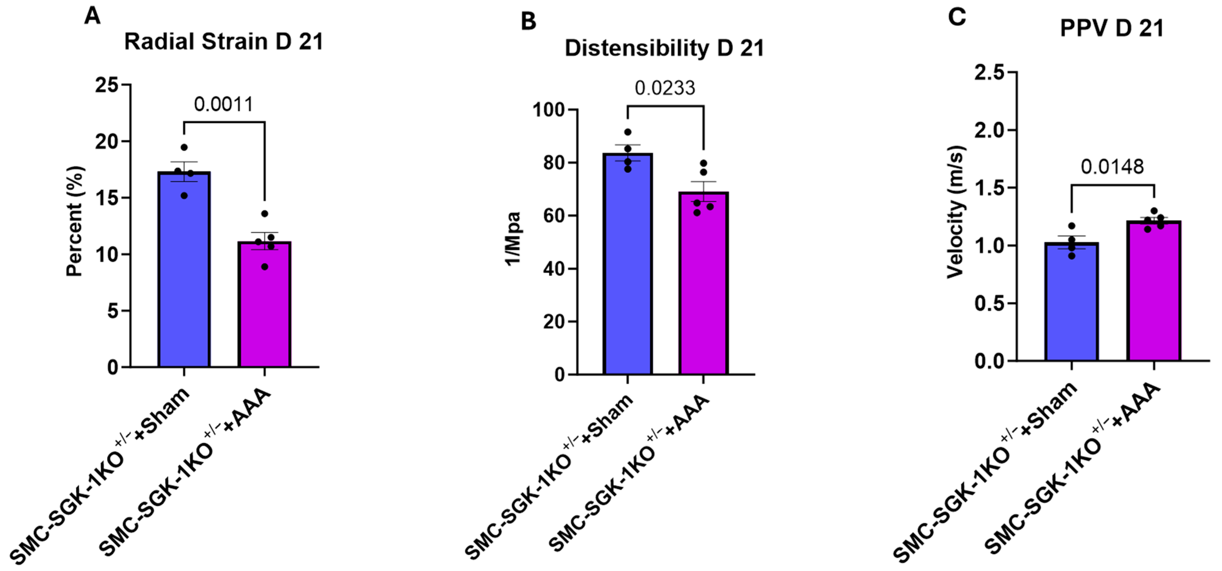 Smooth Muscle Cell Specific Activity of SGK-1 Alters Aortic Stiffness ...