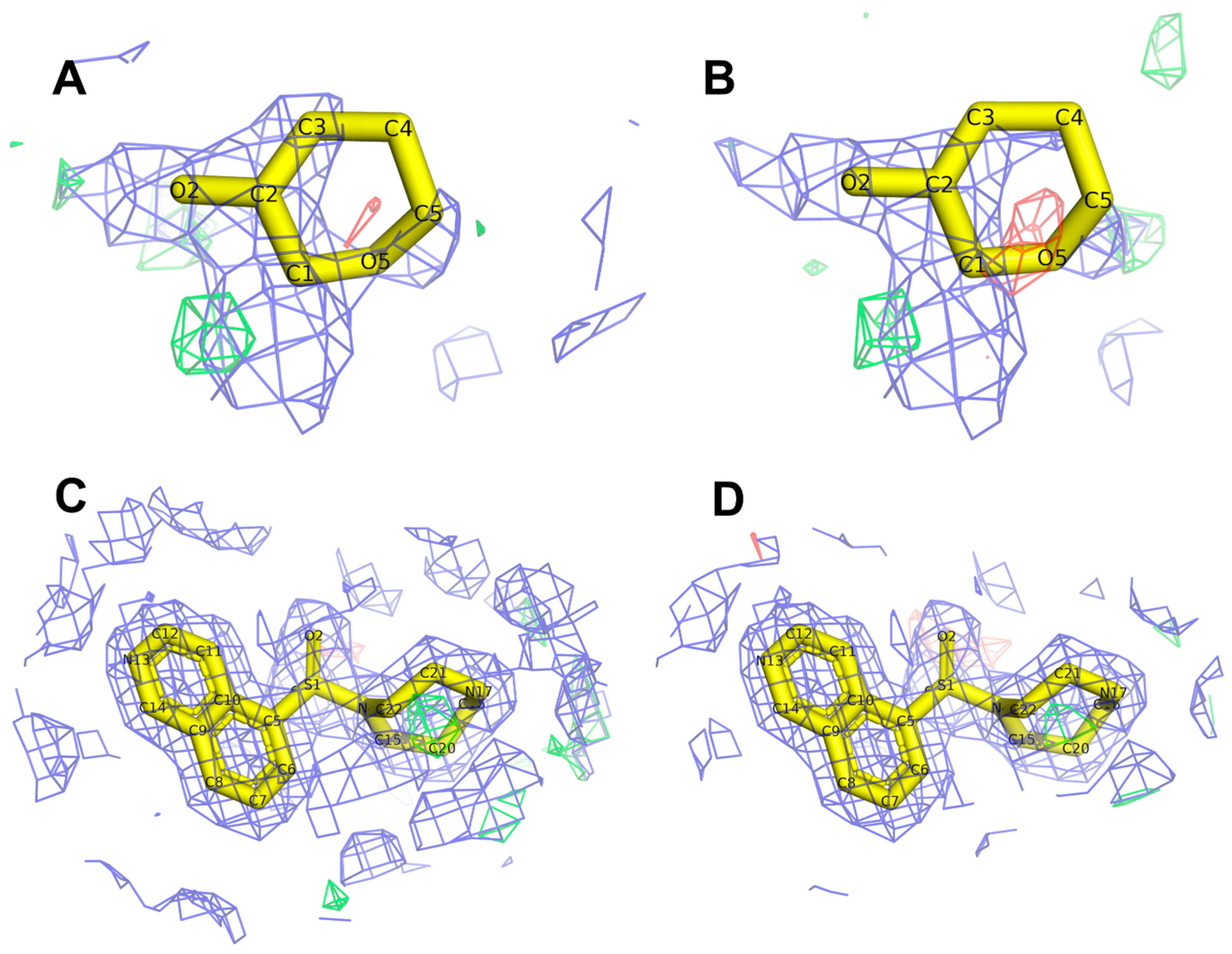 A Critical Look at the Crystal Structures of cAMP-Dependent Protein Kinases