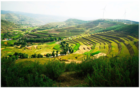 Land | Free Full-Text | Land Use Affects Soil Water Balance and Soil ...