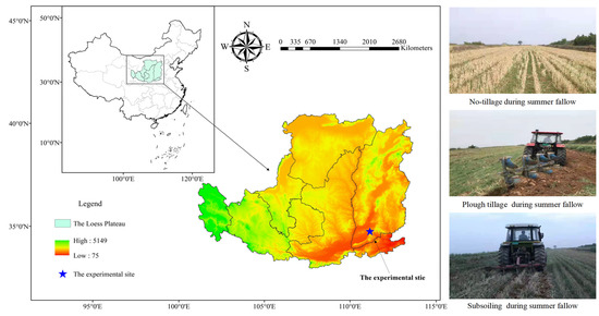 Dynamic of Soil Porosity and Water Content under Tillage during Summer ...