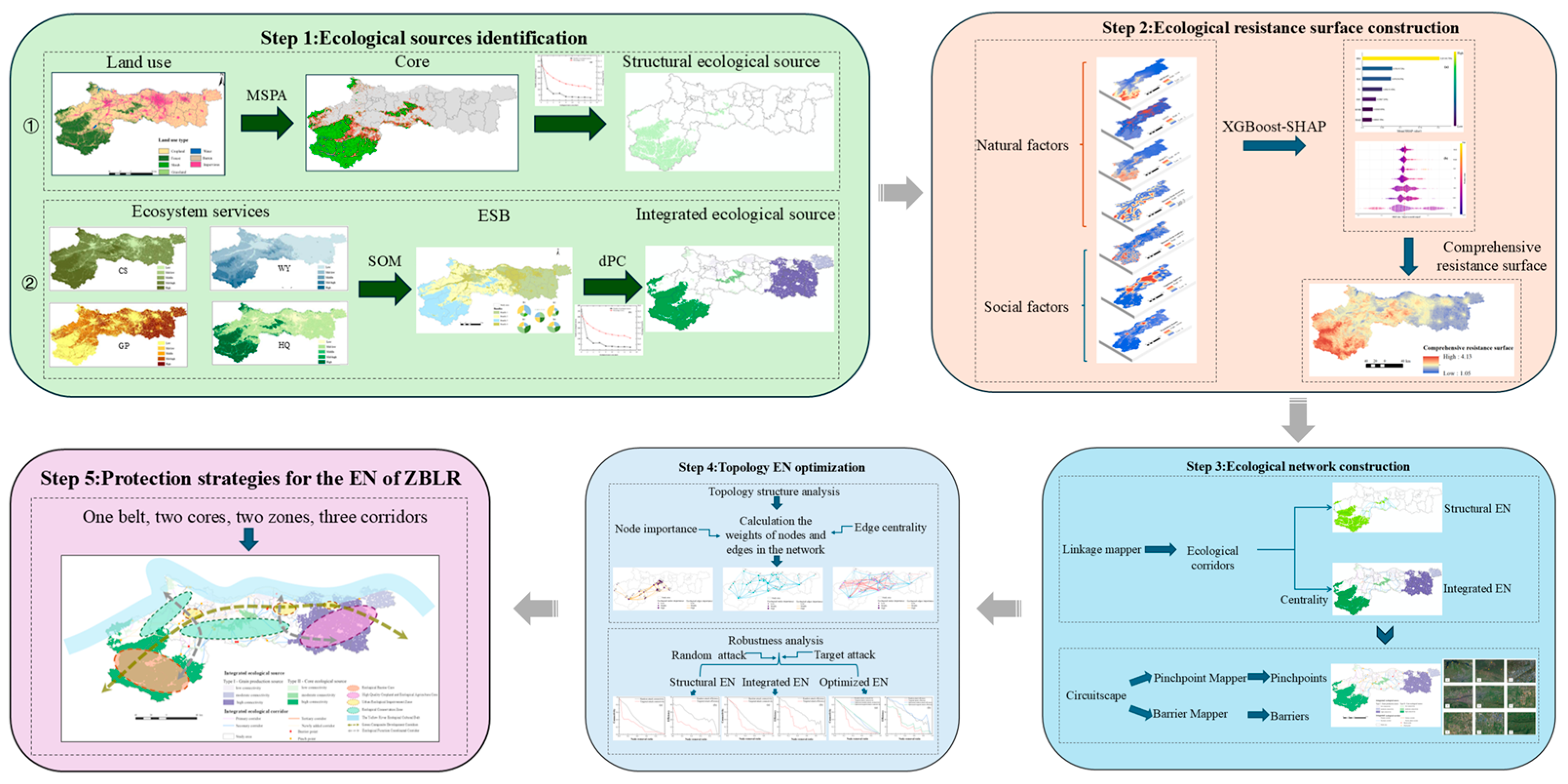 Construction and Optimization of Ecological Network Based on SOM and ...