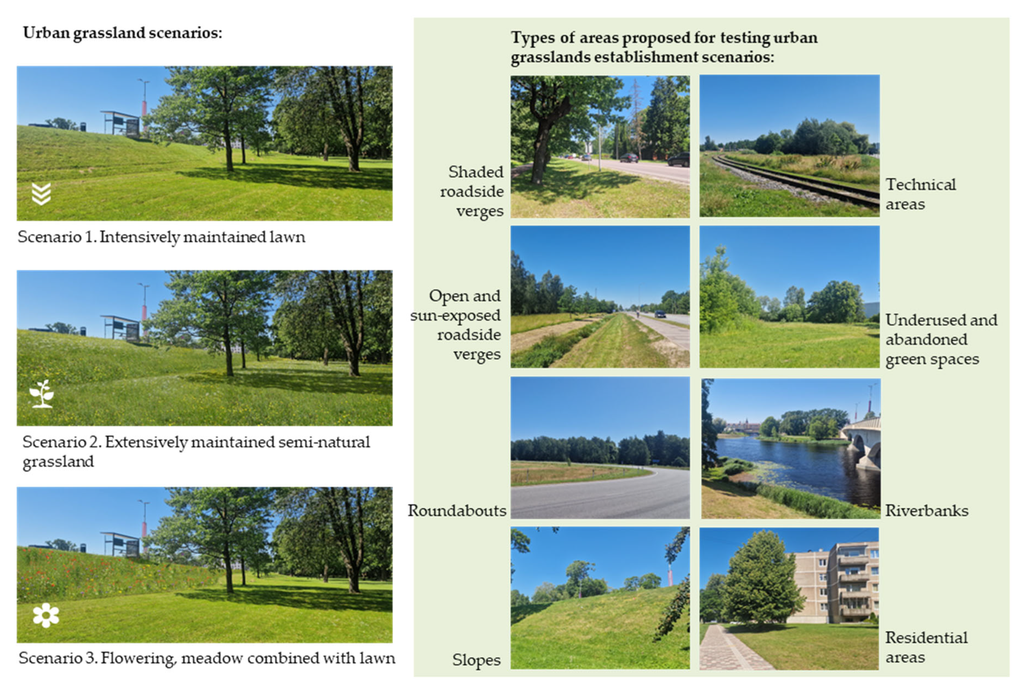 Opportunities and Barriers to Integrating Urban Grasslands into Green ...