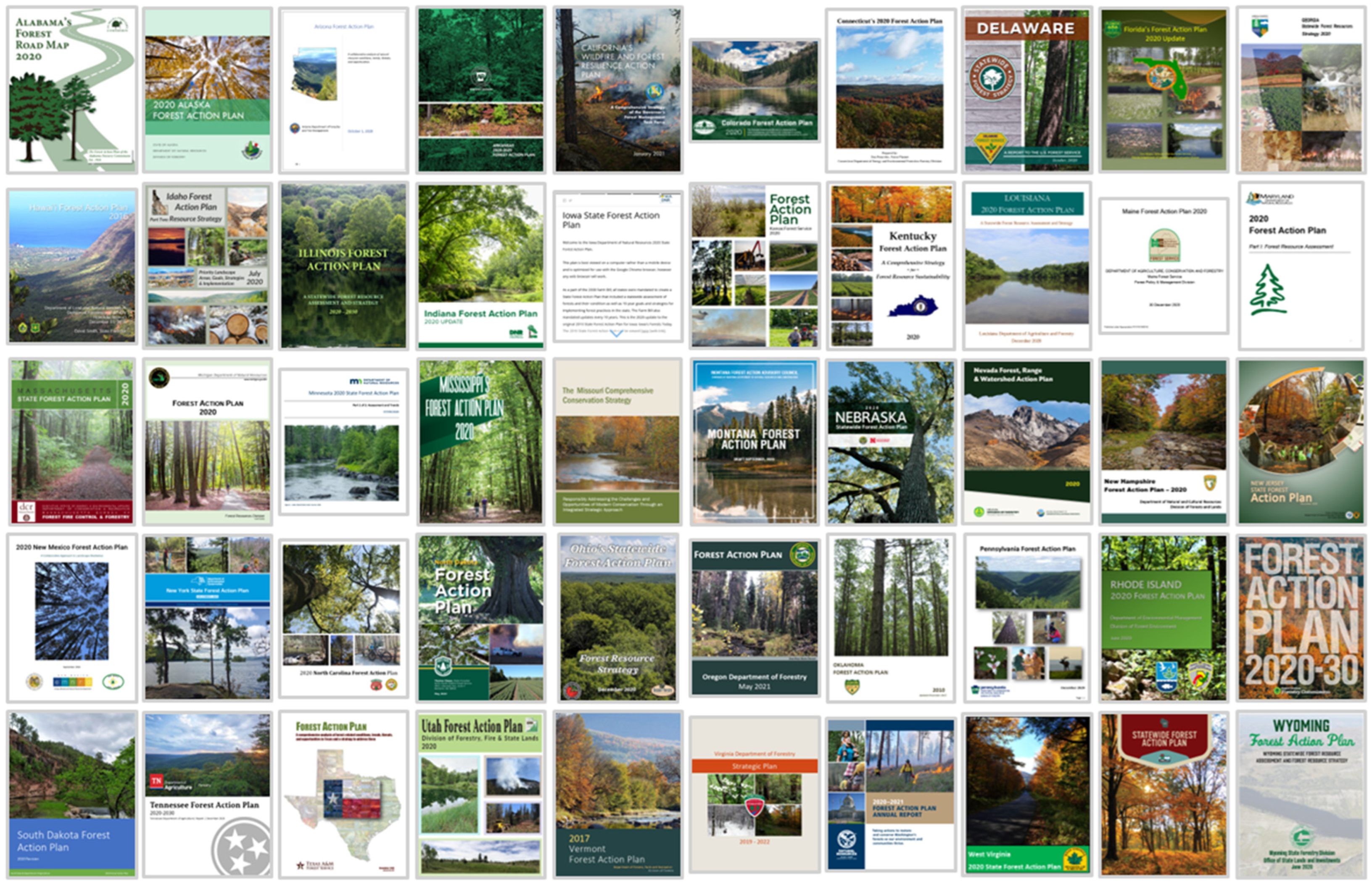 Rooting for Words: An Analysis of Agroforestry Terminology in U.S ...