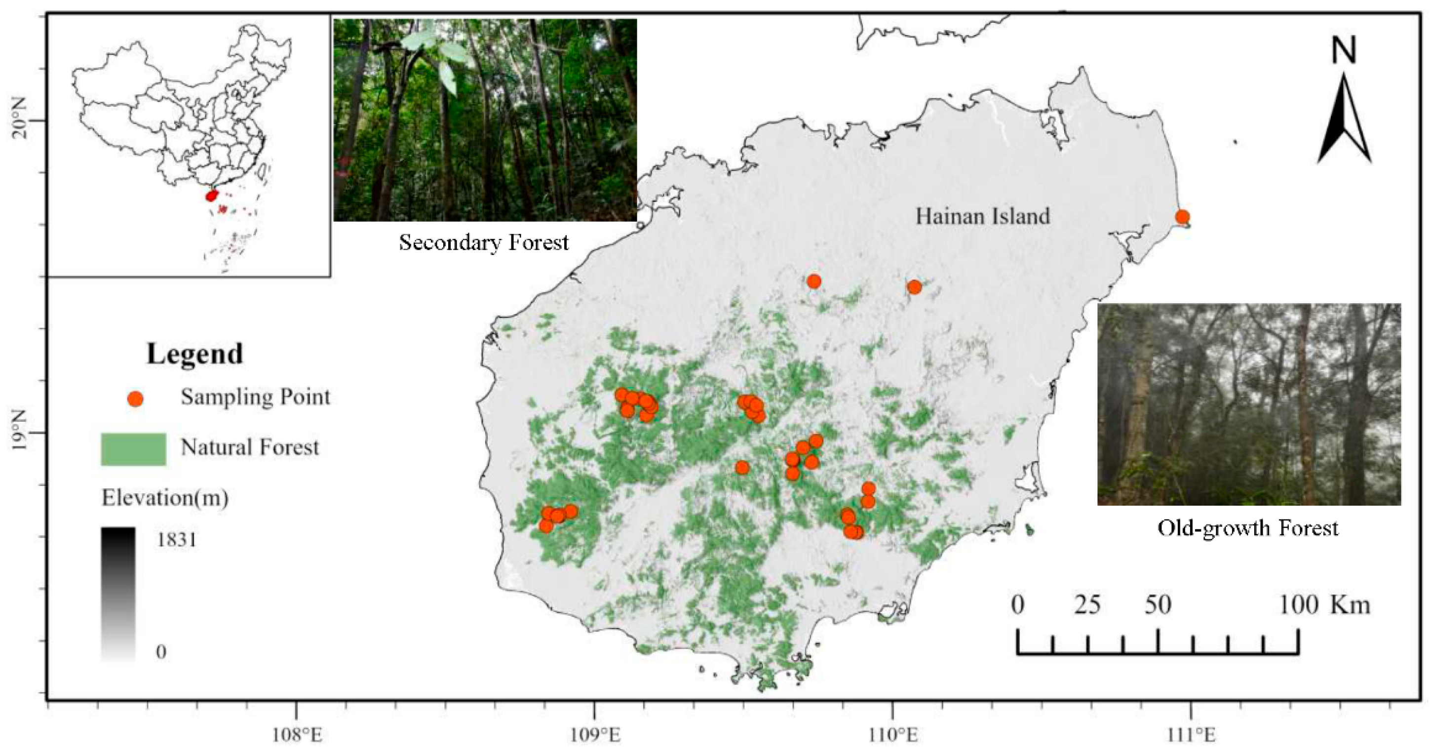 Topsoil Carbon Spatial Patterns and Successional Shifts in Dominant ...