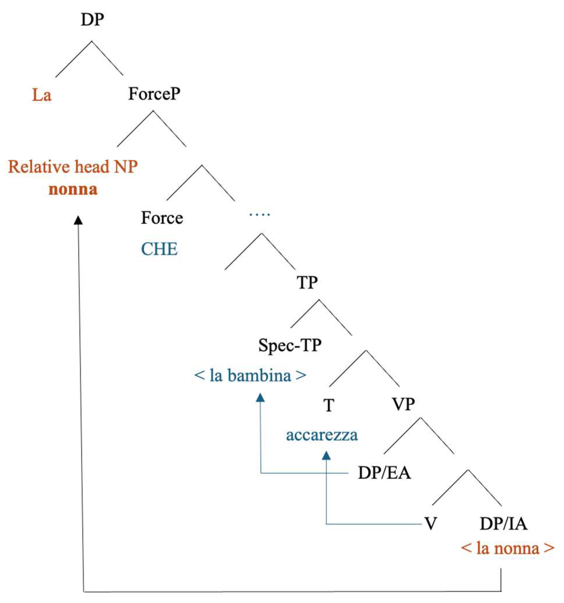 The Acquisition of Syntactic Structures in Typical and Atypical ...