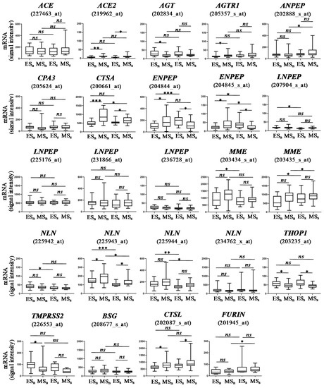 SARS-CoV-2 and Implantation Window: Gene Expression Mapping of Human ...