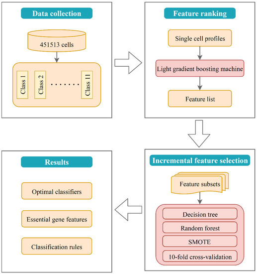 Predicting Heart Cell Types by Using Transcriptome Profiles and a ...