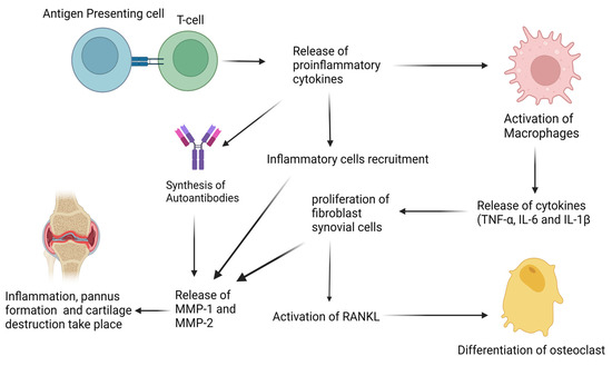 Anti-Arthritic and Anti-Cancer Activities of Polyphenols: A Review of ...
