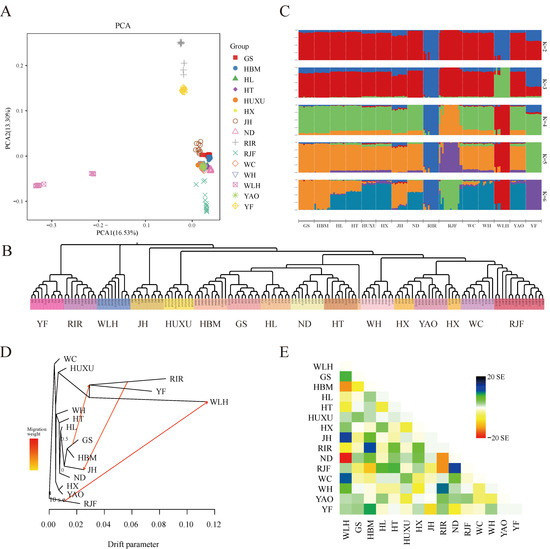Population Structure and Genetic Diversity Analysis of “Yufen 1” H Line ...
