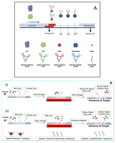 Aptasensors Are Conjectured as Promising ALT and AST Diagnostic Tools ...