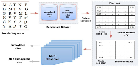 Life | Free Full-Text | Enhancing Sumoylation Site Prediction: A Deep ...