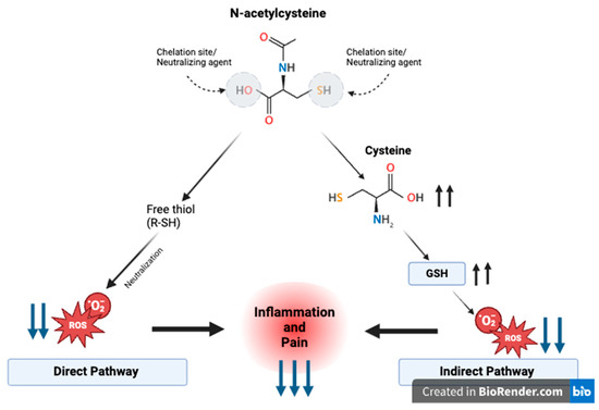The Mechanism and Inflammatory Markers Involved in the Potential Use of ...