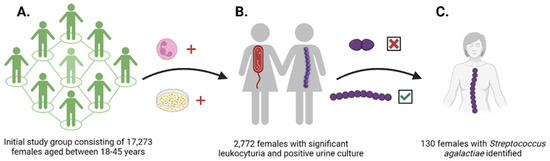 Prevalence and Antibiotic Resistance of Streptococcus agalactiae in ...