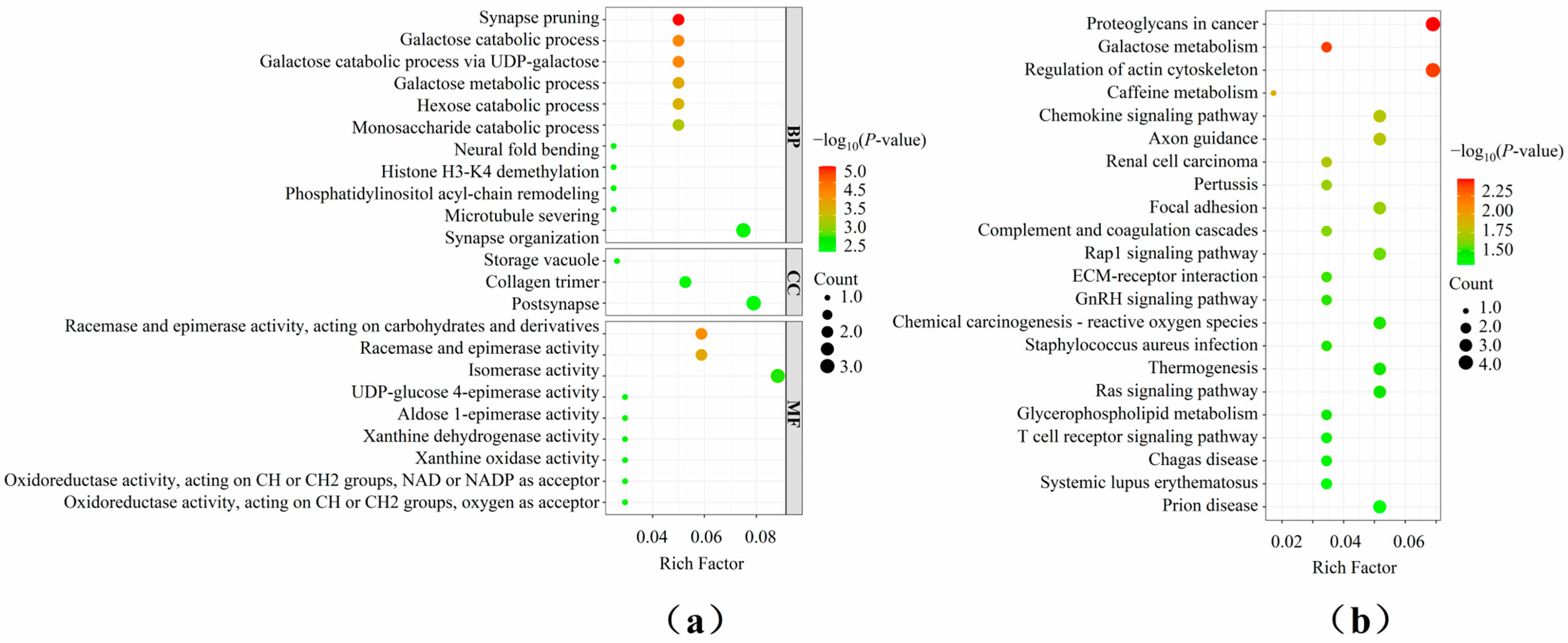 Genomic Scan for Runs of Homozygosity and Identification of Candidate ...